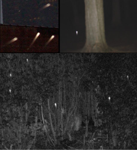 Orbs Explained - Paranormal Investigators of Milwaukee